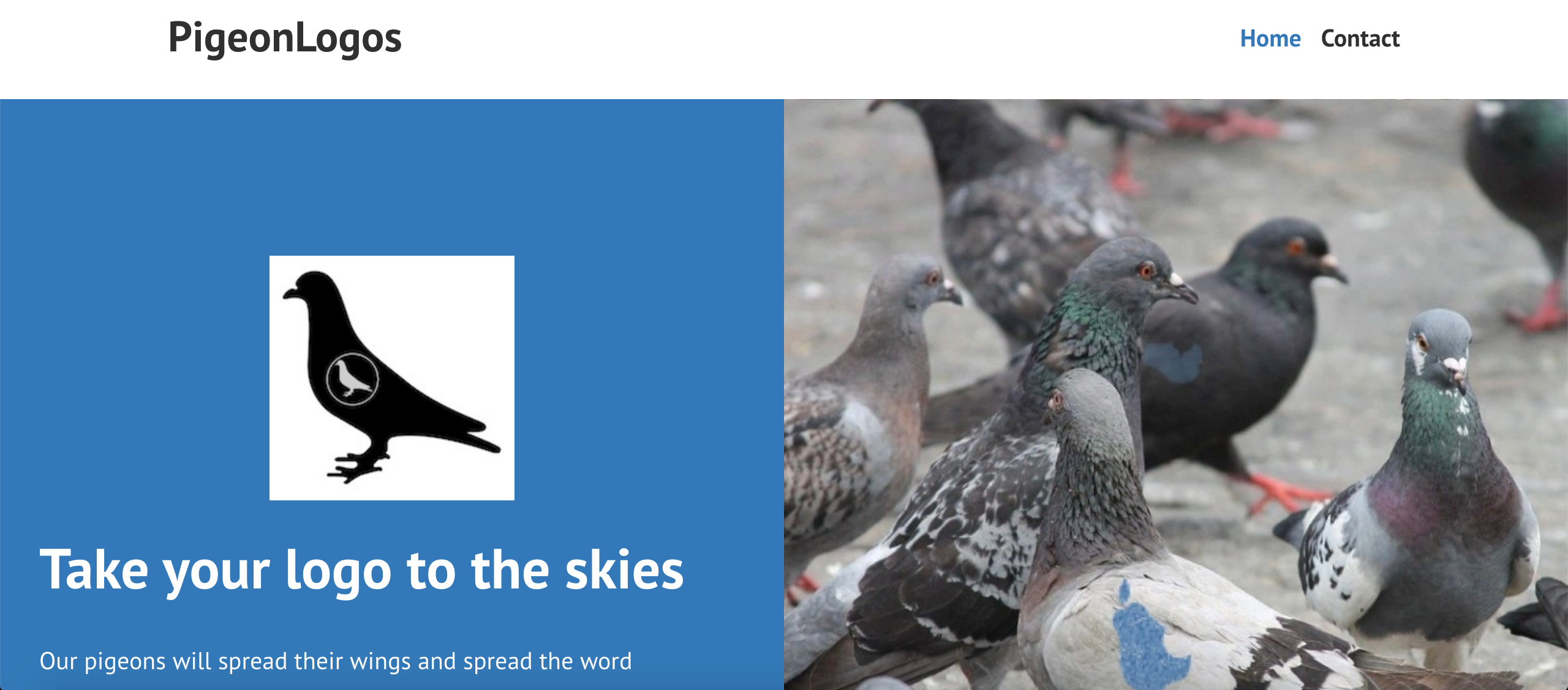 The 48 Hour Test (Introducing: PigeonLogos!) – Andrew Jabara